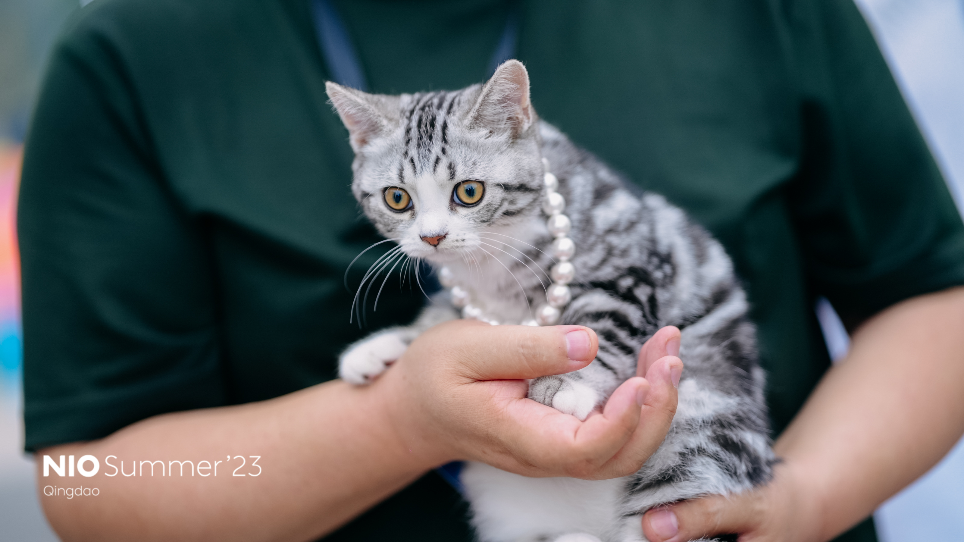 NIO Radio星空汽车影院｜顺着海风 来到了青岛_NIO APP精选 -NIO蔚来官网